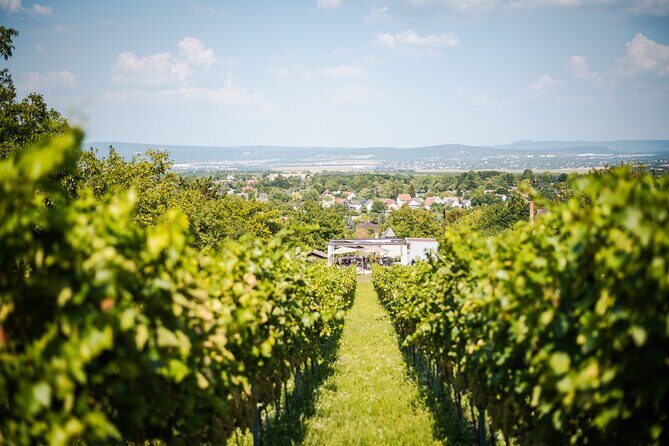 Budapest Half-Day Wine Tour: 3 Family Wineries, Meal & Pálinka - The Transport & Group Dynamics