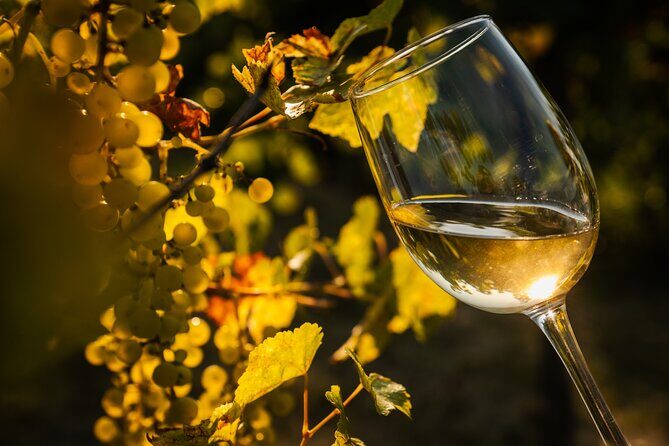 Budapest Half-Day Wine Tour: 3 Family Wineries, Meal & Pálinka - Authenticity and Reviews