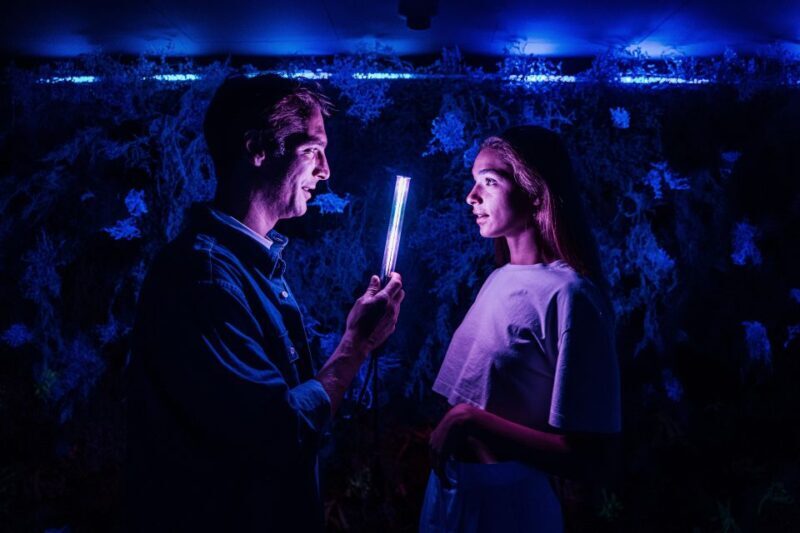 Budapest: Ikono Budapest Entry Ticket - The Sum Up