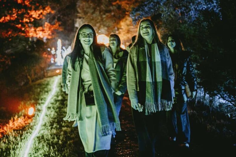 Budapest: Lumina Light Park Wonderworld Entry Ticket - Who Would Love This Experience?