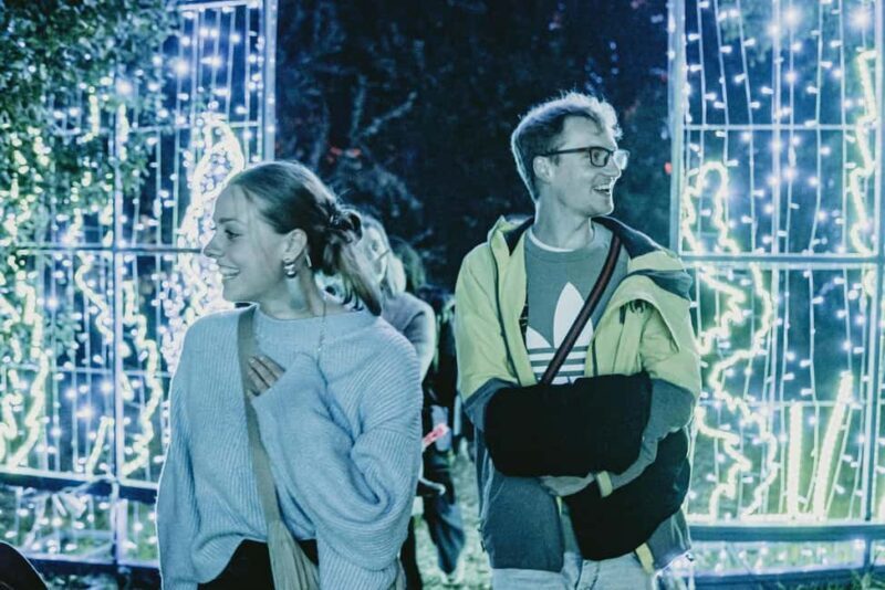 Budapest: Lumina Light Park Wonderworld Entry Ticket - The Ticketing & Entry Process