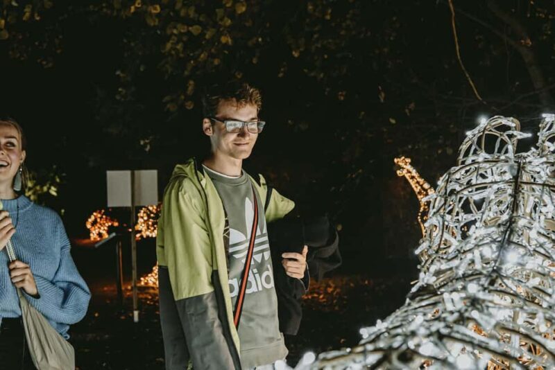 Budapest: Lumina Light Park Wonderworld Entry Ticket - Accessibility & Practical Tips