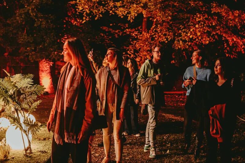 Budapest: Lumina Light Park Wonderworld Entry Ticket - Review Highlights & Authentic Insights