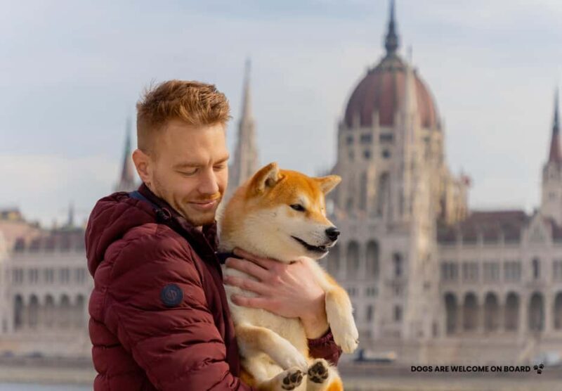 Budapest: Nighttime or Daytime City Sightseeing Cruise - Key Points