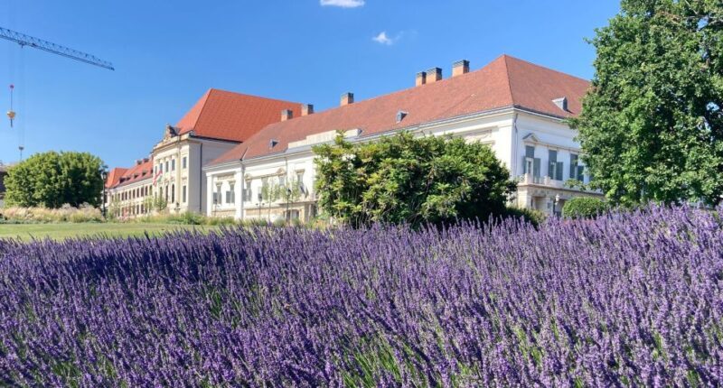 Budapest: private sightseeing tour by public transportation - Authentic Insights from Travelers