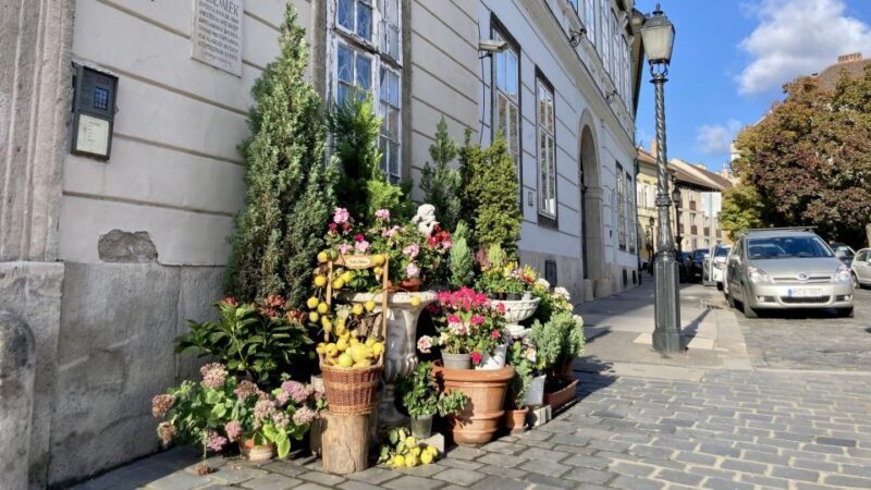 Budapest: private sightseeing tour by public transportation - The Sum Up: Is It Worth It?