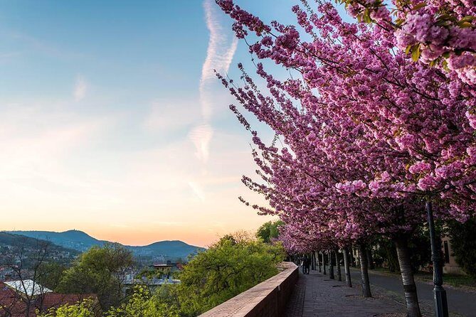 Budapest Private Walking Tour - Who Will Benefit Most from This Tour?