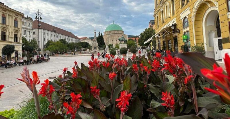 Budapest: Private Walking Tour with a Local Guide - Key Points