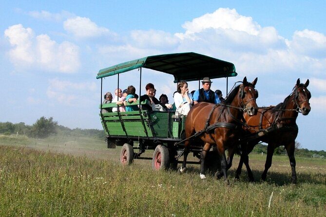 Budapest Puszta Day Trip to Kecskemet with Horse Show & Lunch - Practical Details: What You Need to Know