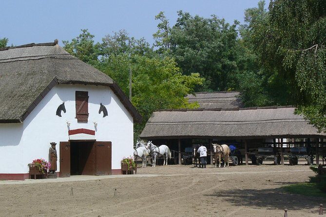 Budapest Puszta Day Trip to Kecskemet with Horse Show & Lunch - The Sum Up