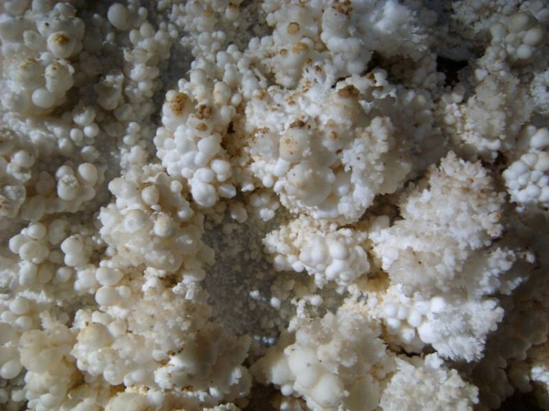 Budapest: Seml-hegyi & Pál-völgyi Caves Guided Walking Tour - An In-Depth Look at the Cave Tour Experience