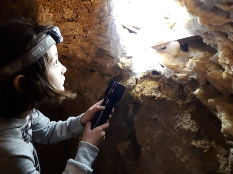 Budapest: Seml-hegyi & Pál-völgyi Caves Guided Walking Tour - The Sum Up