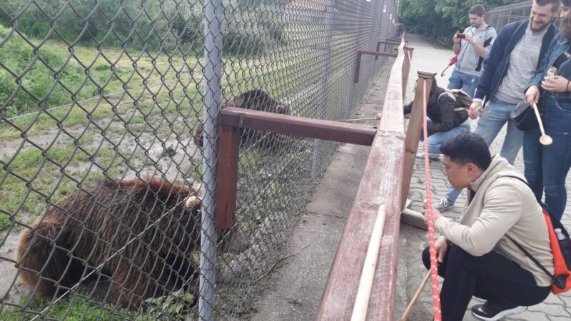 Budapest: Transport & Guided Tour of Bear and Wolf Sanctuary - The Experience in Detail