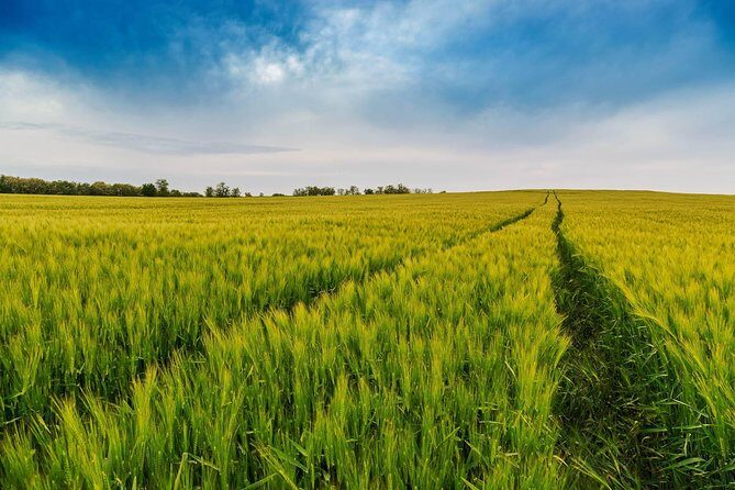 Budapest-Vienna One-Way Sightseeing Transfer - Real Traveler Insights