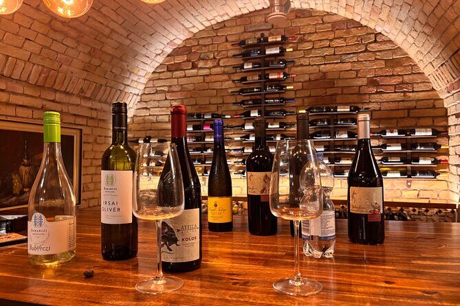 Budapest Wine Tasting and Heritage Experience at Goldcentral - Key Points  