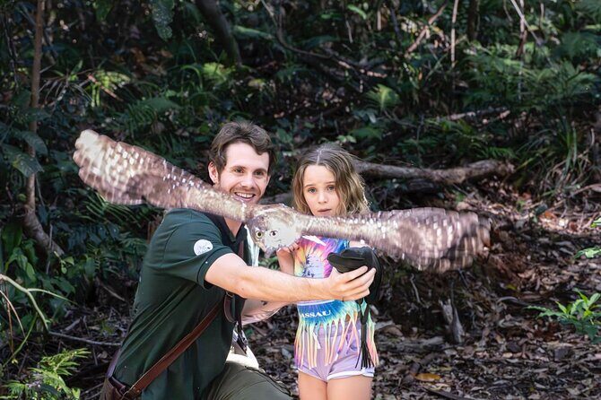 Buderim Forest Flight Owl Encounter and Tour - An In-Depth Look at the Tour