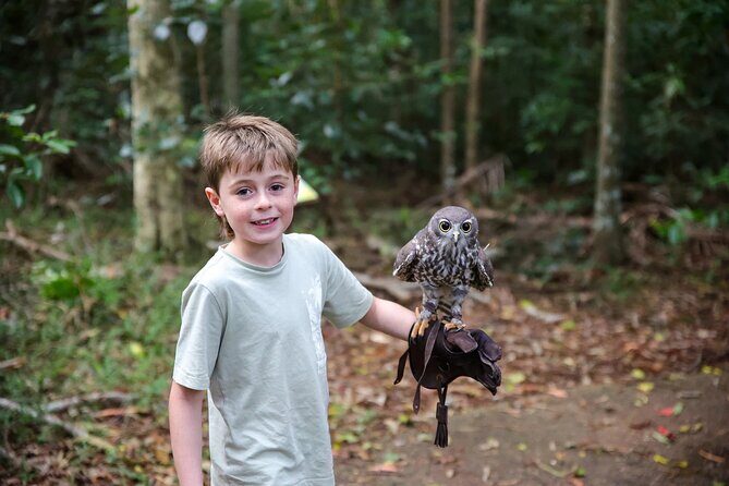 Buderim Forest Flight Owl Encounter and Tour - Who Is This Tour Best For?