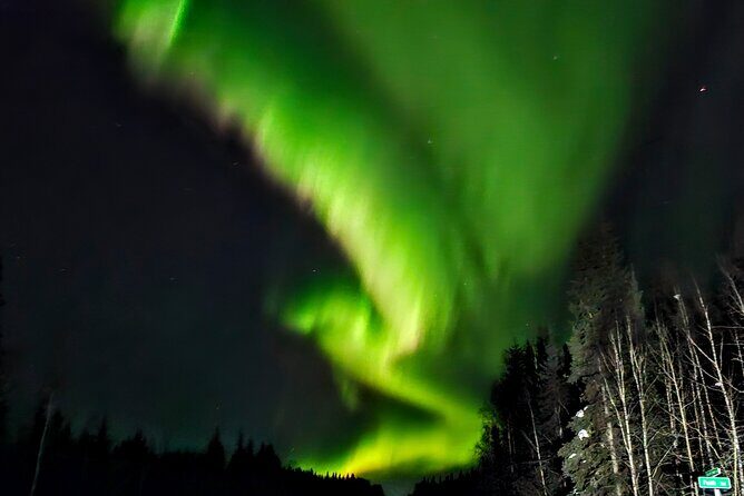 Budget Aurora Borealis tour, Fairbanks, Alaska - Value & Experience