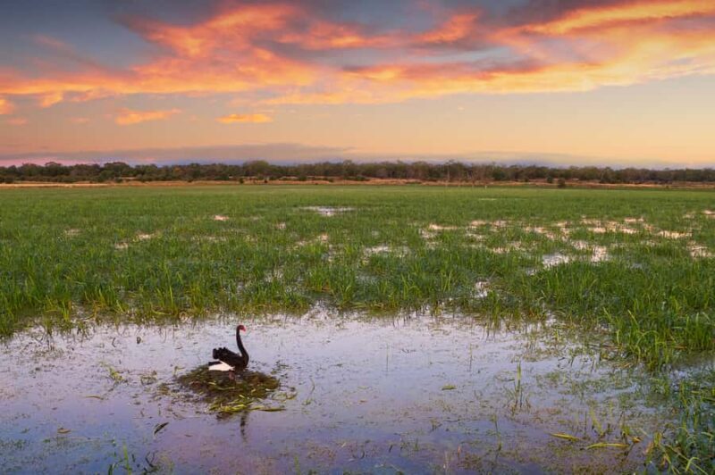 Budj Bim: Tae Rak Wetlands 2 Hour Guided Cultural Tour - The Sum Up