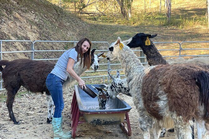 Buffalo Creek Ranch Tour Experience - Who Should Consider This Experience?