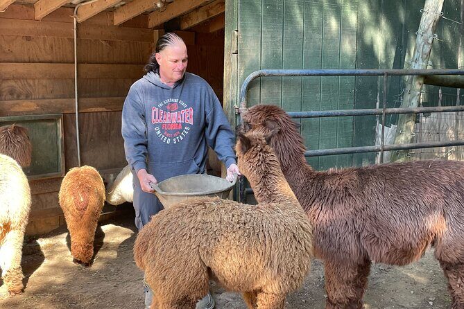 Buffalo Creek Ranch Tour Experience - The Sum Up