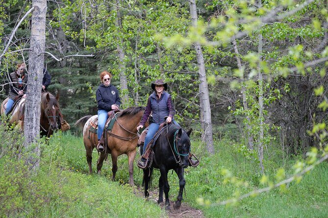Buffalo Loop 1-Hour Horseback Trail Ride in Kananaskis - Key Points