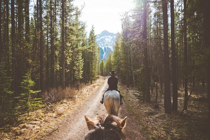 Buffalo Loop 1-Hour Horseback Trail Ride in Kananaskis - A Closer Look at the Buffalo Loop Horseback Ride