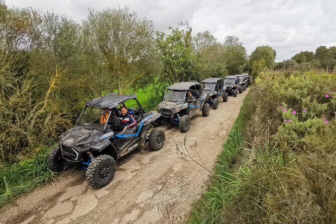 Buggy 2-seater and 4-seater Off-On Road Tour in Mallorca - Who Should Consider This Tour?