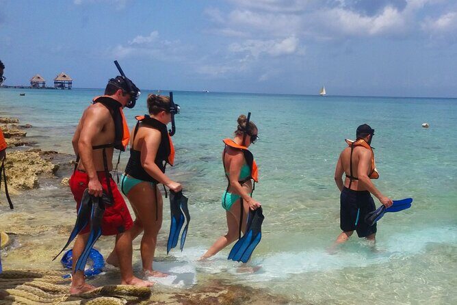 Buggy Adventure in Cozumel + Transportation from Cancún - Why This Tour Is Worth Considering