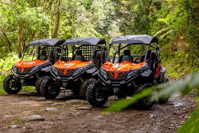 Buggy Adventure in Madeira off Road - Key Points