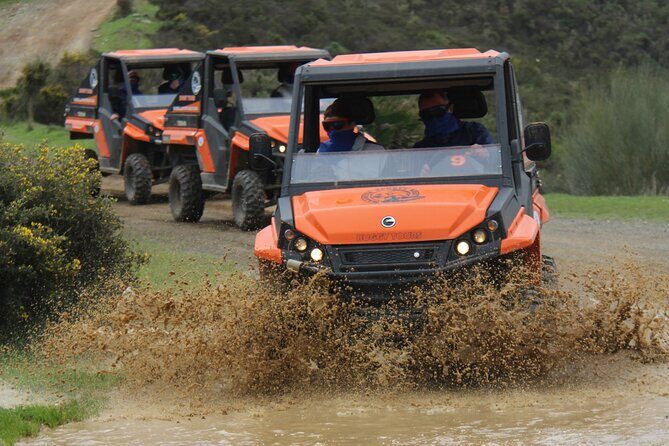 Buggy Adventure with Incredible Views of the Sea and the Reservoir - Key Points
