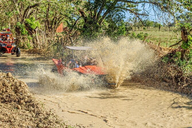 Buggy Punta Cana VIP Tour  Beach, Countryside and Tradition - An In-Depth Look at the Punta Cana Buggy Tour