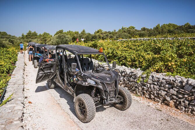 Buggy Safari With Wine Tasting - The Itinerary in Detail