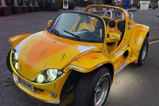 Buggy Small and Buggy XL Cartoon Tour - UNICI A TENERIFE - A Closer Look at the Tenerife Buggy Tour