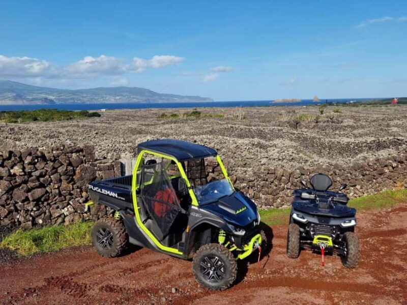Buggy tour through the vineyards of Pico Island - FAQ