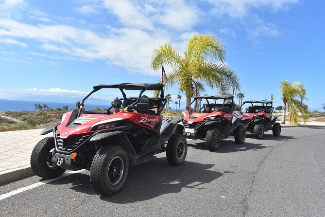 Buggy tour to Teide in Tenerife - Final Thoughts: Who Should Consider This Tour?