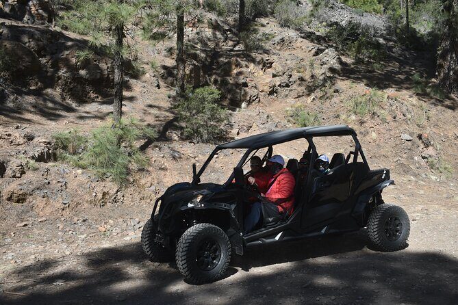Buggy tour to Teide in Tenerife - FAQs