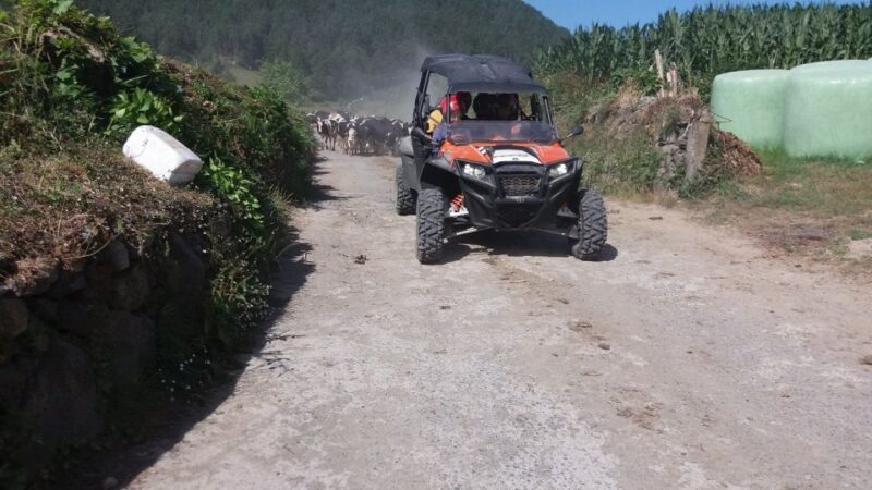 Buggy|Quad|Jeep Coast to Coast Tour (Ribeira Grande) off 4x4 - A Deep Dive into the Experience