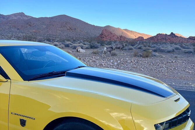 Bumblebee Camaro Tour: Transformers Movie Locations - A Deep Dive into the Experience
