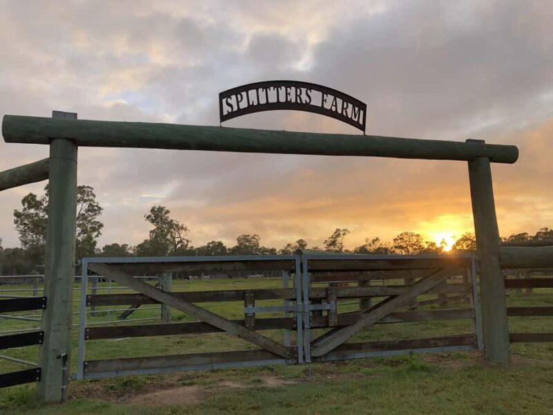 Bundaberg: Family-Friendly Entry Ticket to Splitters Farm - Key Points