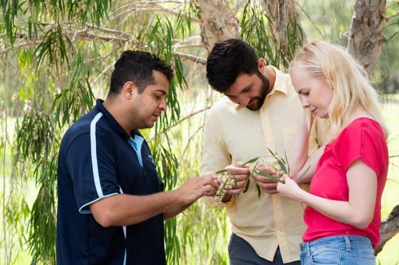 Bundaberg: Half Day Indigenous Experience with Morning Tea - Key Points