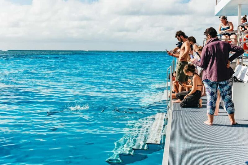 Bundaberg: Lady Musgrave Island and Great Barrier Reef Tour - The Sum Up: Who Is This Tour Perfect For?