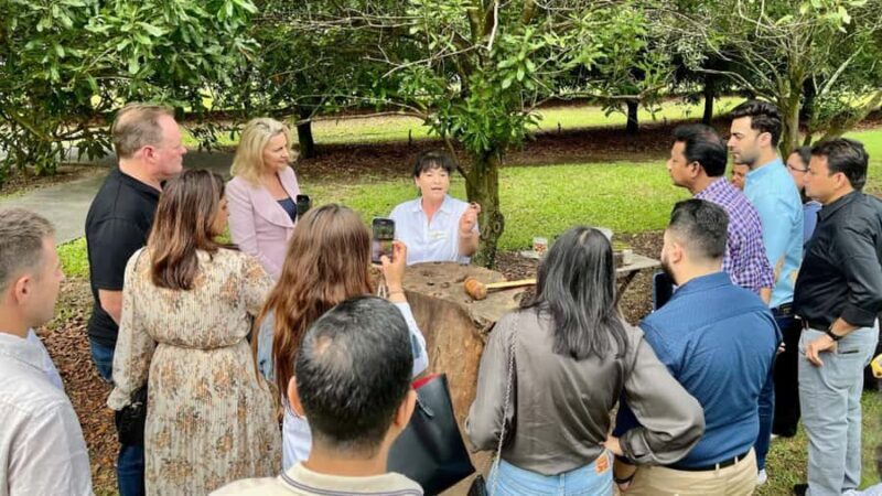 Bundaberg: Macadamia Orchard Tour - Who Will Love This Tour?