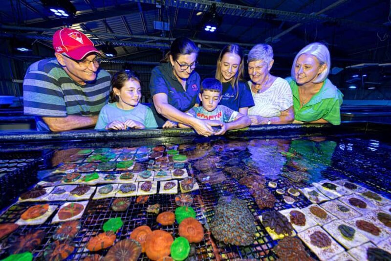Bundaberg: Monsoon Aquatics Coral Farm Guided Tour - An In-Depth Look at the Coral Farm Tour