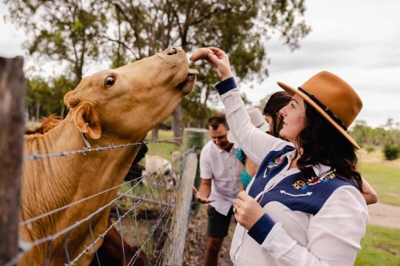Bundaberg: Splitters Farm Guided Tour - FAQ