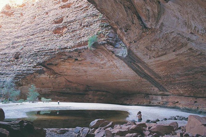 Bungle Bungle Day Trip from Broome - Fly, 4WD, Walk - Authentic Insights from Reviews