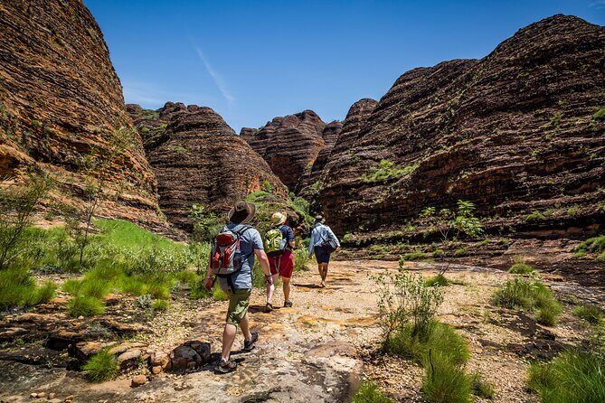 Bungle Bungle Flight & Domes To Cathedral Gorge Walking Tour - Key Points: