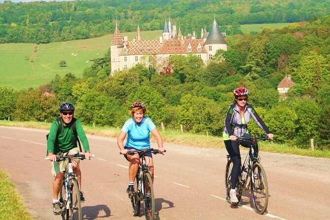 Burgundy Bike Tour with Wine Tasting from Beaune - Who Should Consider This Tour?