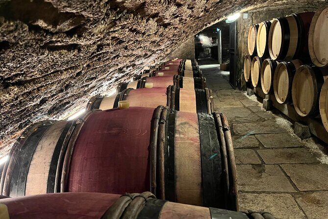 Burgundy Grand Crus Route Day Tour - 14 Wines Tastings in Domains - The Itinerary: What to Expect