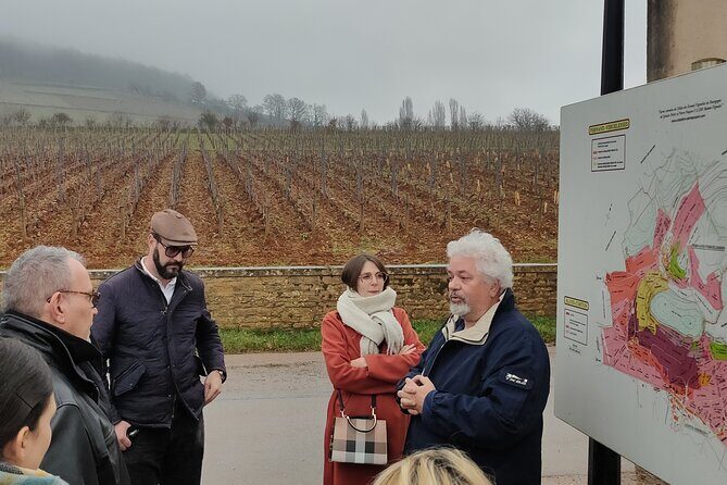 Burgundy Grand Crus Route Day Tour - 14 Wines Tastings in Domains - Note: This review is based on aggregated feedback and detailed tour descriptions. For updated prices and availability, visit the provider’s site.